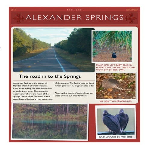 19 alexander springs | PDF