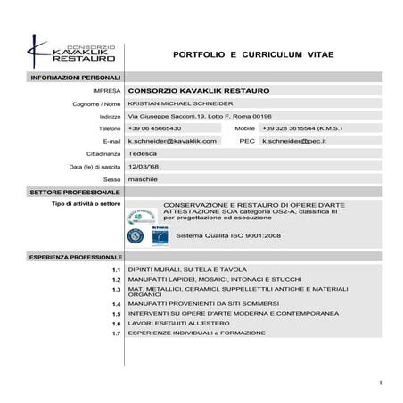 CV KS Eu 2016 08 01 | PDF | Design | Fine Art