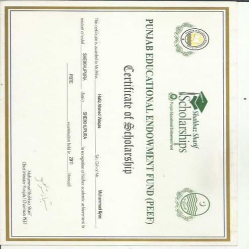 PEEF certificate | PDF