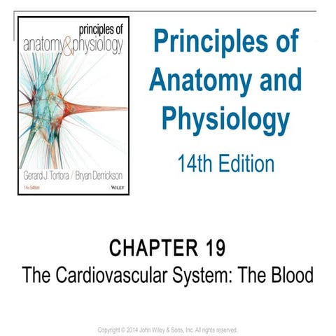 19 [chapter 19 the cardiovascular system the blood] | PPT