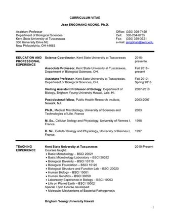 Zaky-Curriculum Vitae, 2015 | PDF