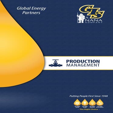 GIS Production Management | PDF | Business | Business and Finance