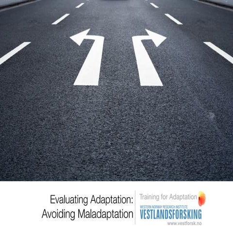 Evaluating Adaptation Avoiding Maladaptation Training For Adaptation