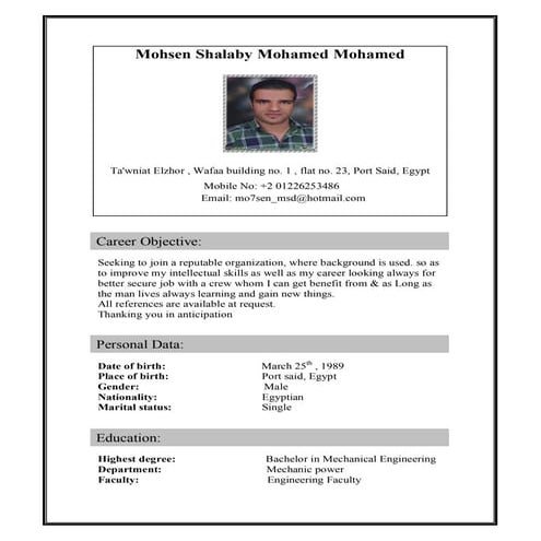 Mohsen Shalaby | PDF
