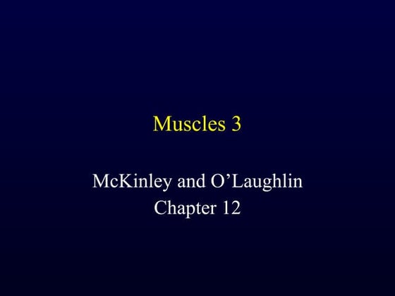 Anatomy Lab exercise 12 | PPT