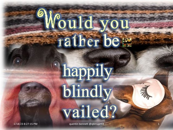WRAPPED IN ATTACHMENTS | EMOTIONally vulnerABLE ABILITY | PPT
