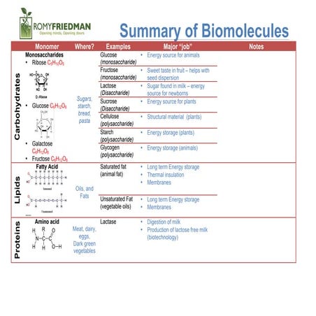 Summary of Biomolecules | PPT
