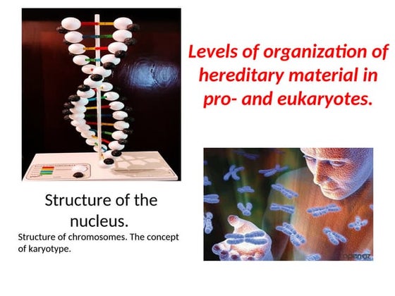 Introduction to cytology | PPT