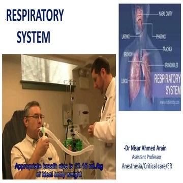 Grade 9 - Respiratory system | PPTX