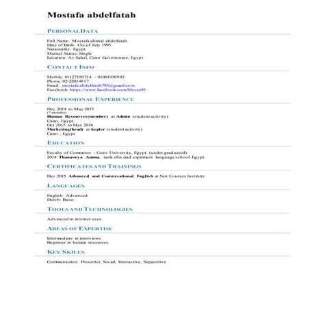 CV-mostafa ahmed | DOCX | Business | Business and Finance