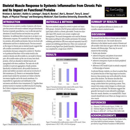 NCPTA 2015 POSTER- KS and KL final | PPTX