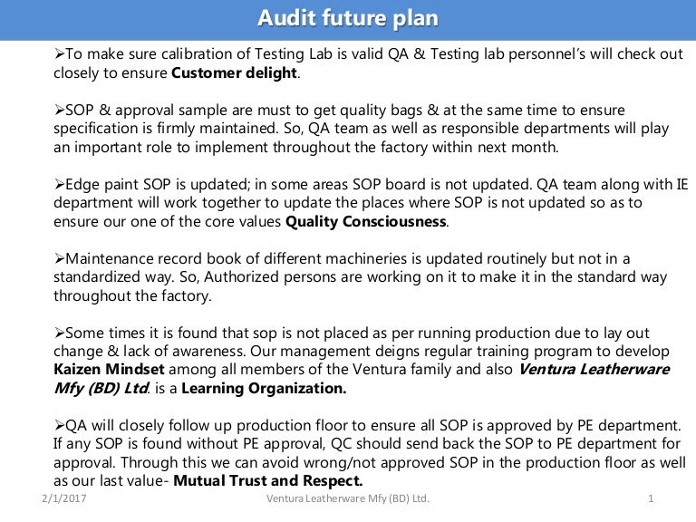 Audit Action Plan audit-action-plan