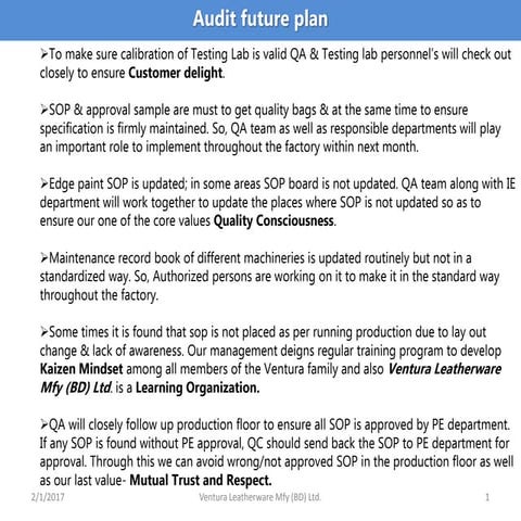 Audit action plan | PPTX