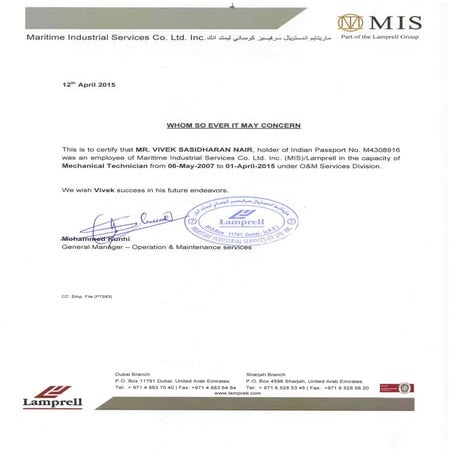 MIS Experience | PDF