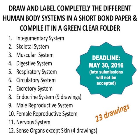 1 A DRAW AND LABEL COMPLETELY THE DIFFERENT HUMAN BODY.pptx