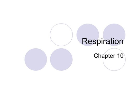 Respiration | PPT
