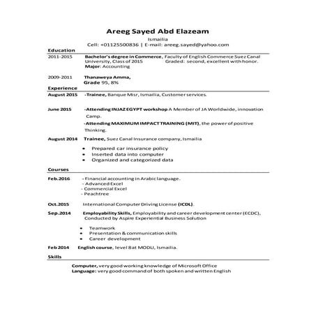 Areeg Sayed Abd Elazeam | DOCX