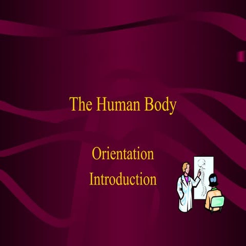 1 Anatomy and Physiology OF THE HUMAN BODY | PPTX