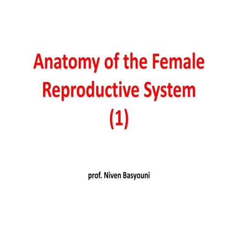 Communitygjdhbdjbdvdjdbdvdjdjdbdkbbkfkjfkf | PDF