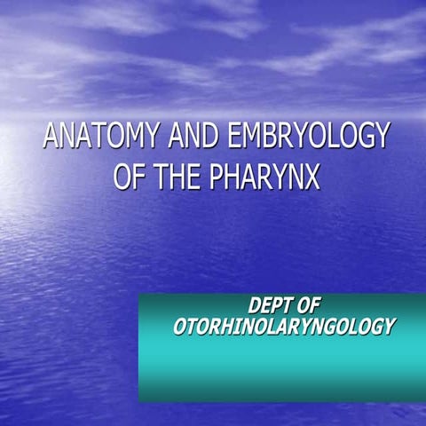 Anatomy of Pharynx & Larynx | PPTX