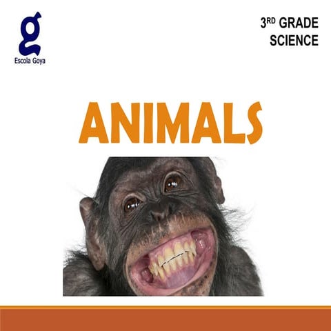 ANIMALS 3RD | PPT