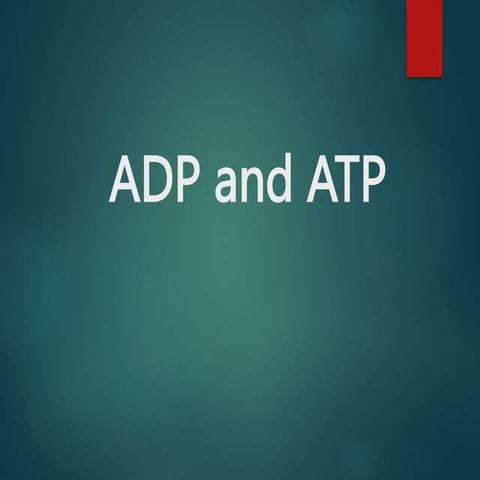 1 atp-adp ppt.pptx