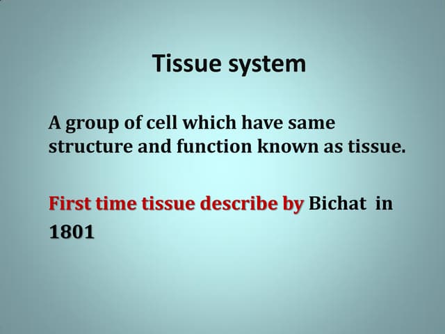 TISSUES Class - 9th | PPTX