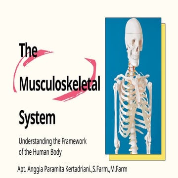1B. SISTEM MUSKULOSKELETAL SYSTEM copy.pptx