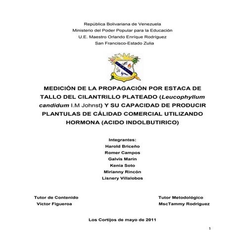 1b 4 agr (cilantrillo plateado) | DOCX