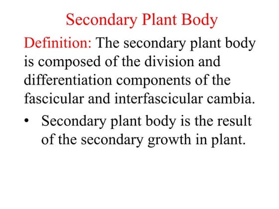VASCULAR CAMBIUM Repaired plants anatomy | PPTX