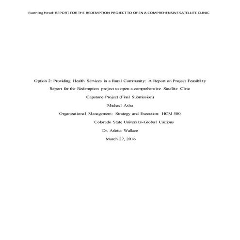 CAPSTONE PROJECT(FINAL SUBMISSION) | PDF