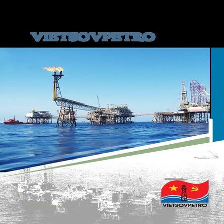 VSP brochure-company org chart | PDF