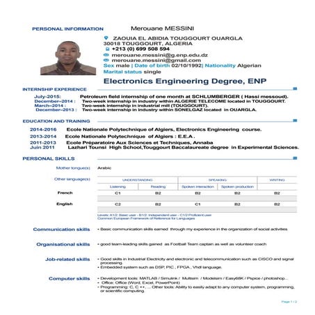 resume messini merouane | PDF