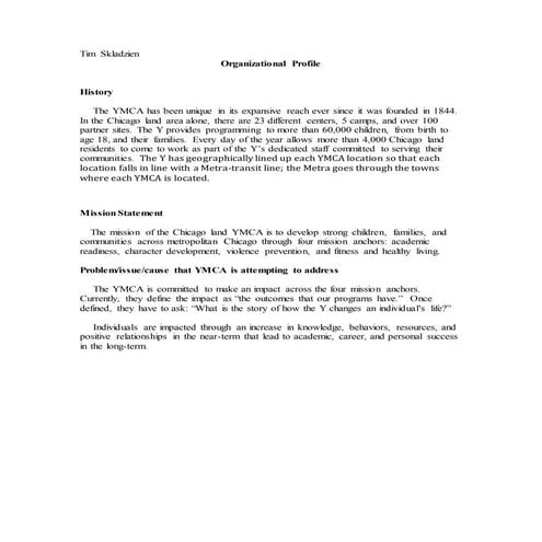 Organizational Profile.Final | DOCX