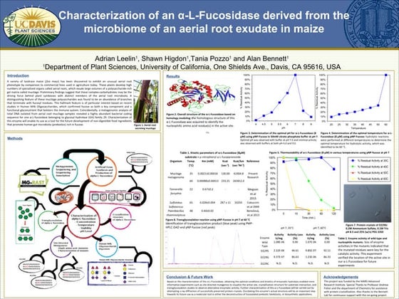 Sgm Poster Final | PPTX