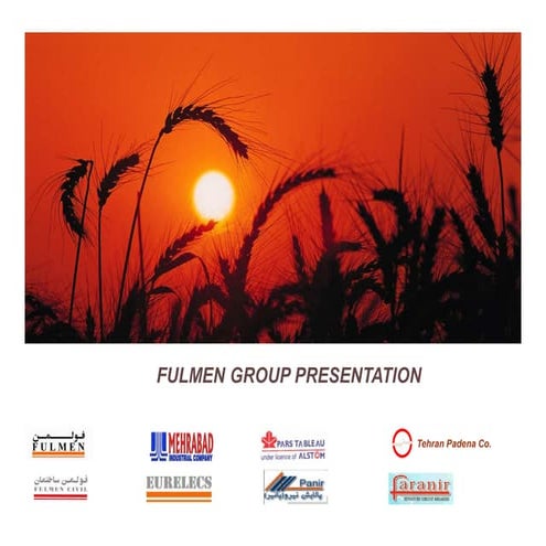 Fulmen Group Presentation | PDF
