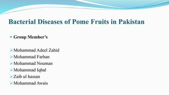 MANGO- MAJOR PROBLEMS | PDF | Gardening | Home & Garden