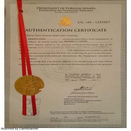 College Diploma | PDF