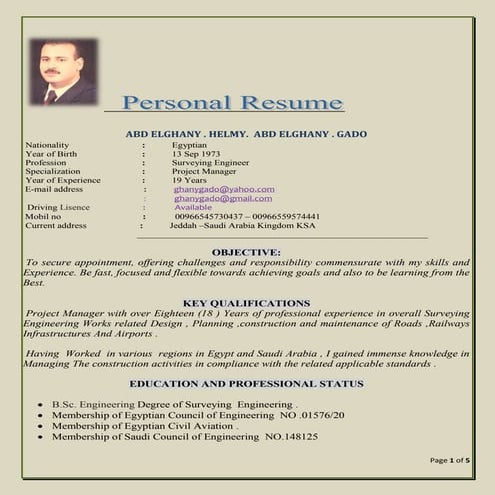 Modified C.V 2015-R02 | PDF