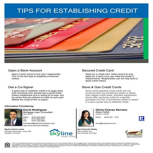 Establishing Credit | PDF