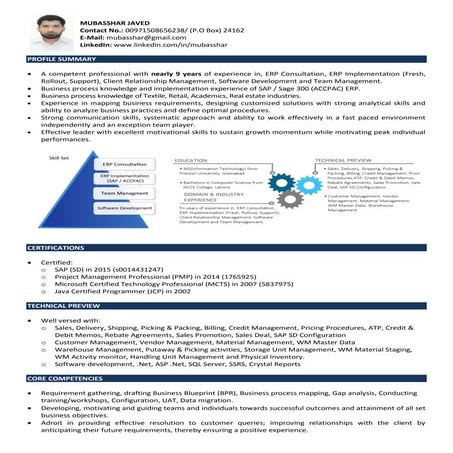 Mubasshar's Resume - ERP Consultant | PDF