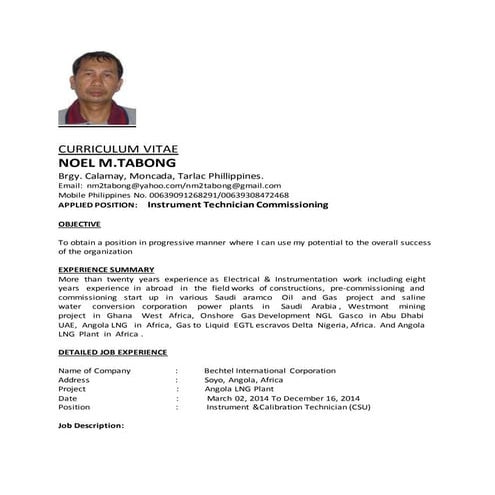noel cv | DOCX