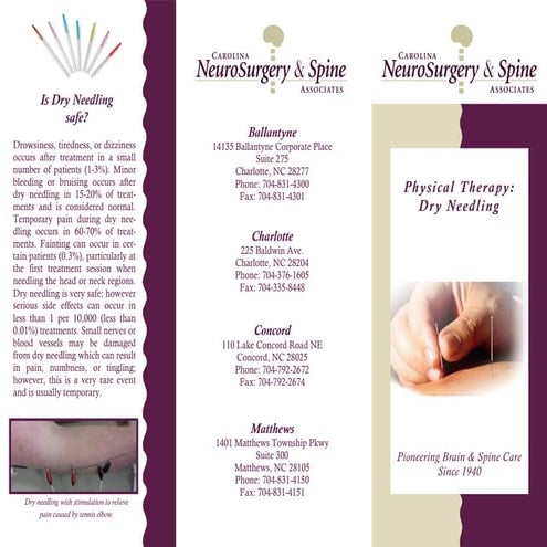 Dry Needling Brochure All Locations | PDF