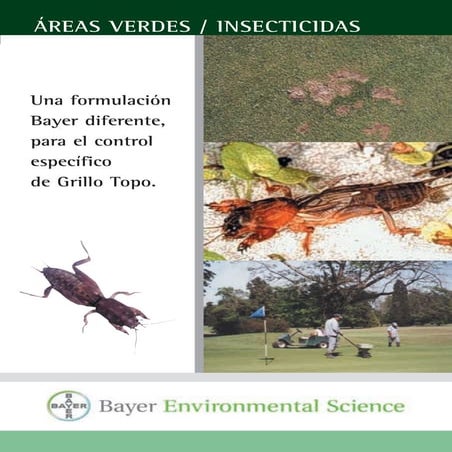 1 bayer chipco choice | PDF