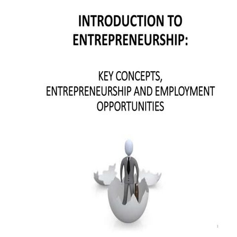 Job Opportunities for Entrepreneurship as a career | PDF