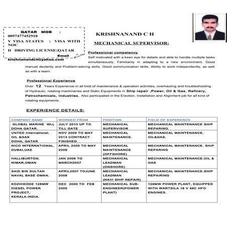 krish cv 1 | DOC