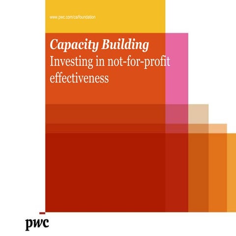 Capacity Building: Investing in not-for-profit effectiveness PWC ...