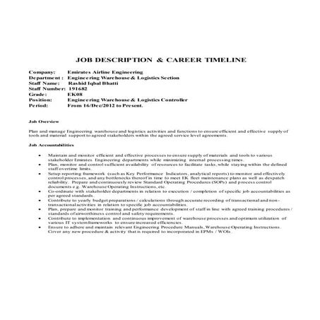 Career Timeline & Job Responsibilities | DOCX