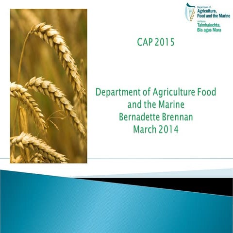Cap information meetings agenda | PPTX