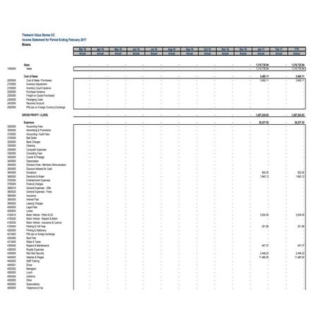 Income statement example | PDF